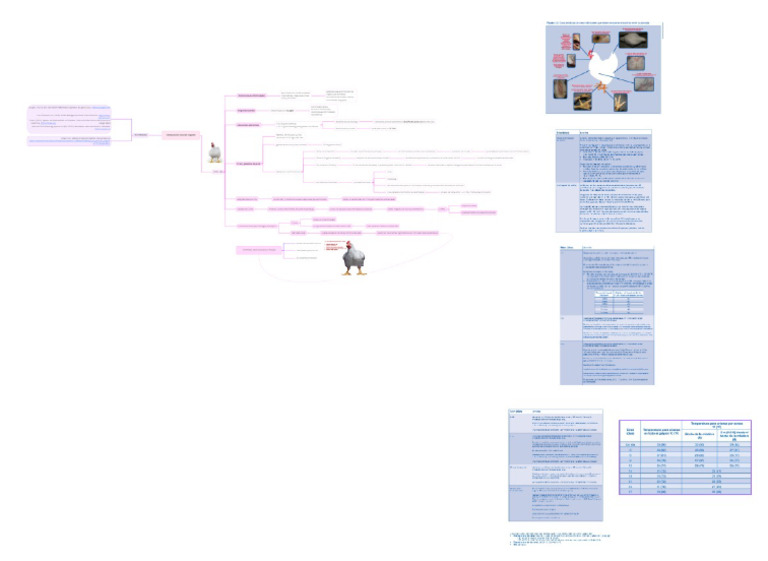 Mapa Razas Sistemas 2 | PDF