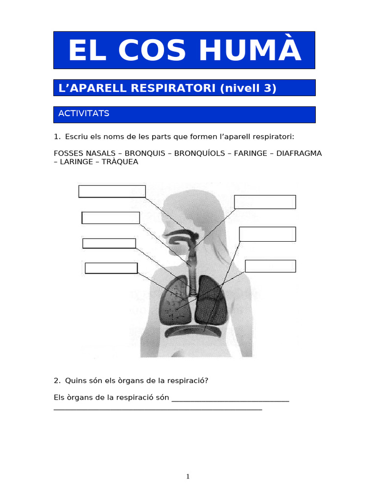 Respiratori | PDF