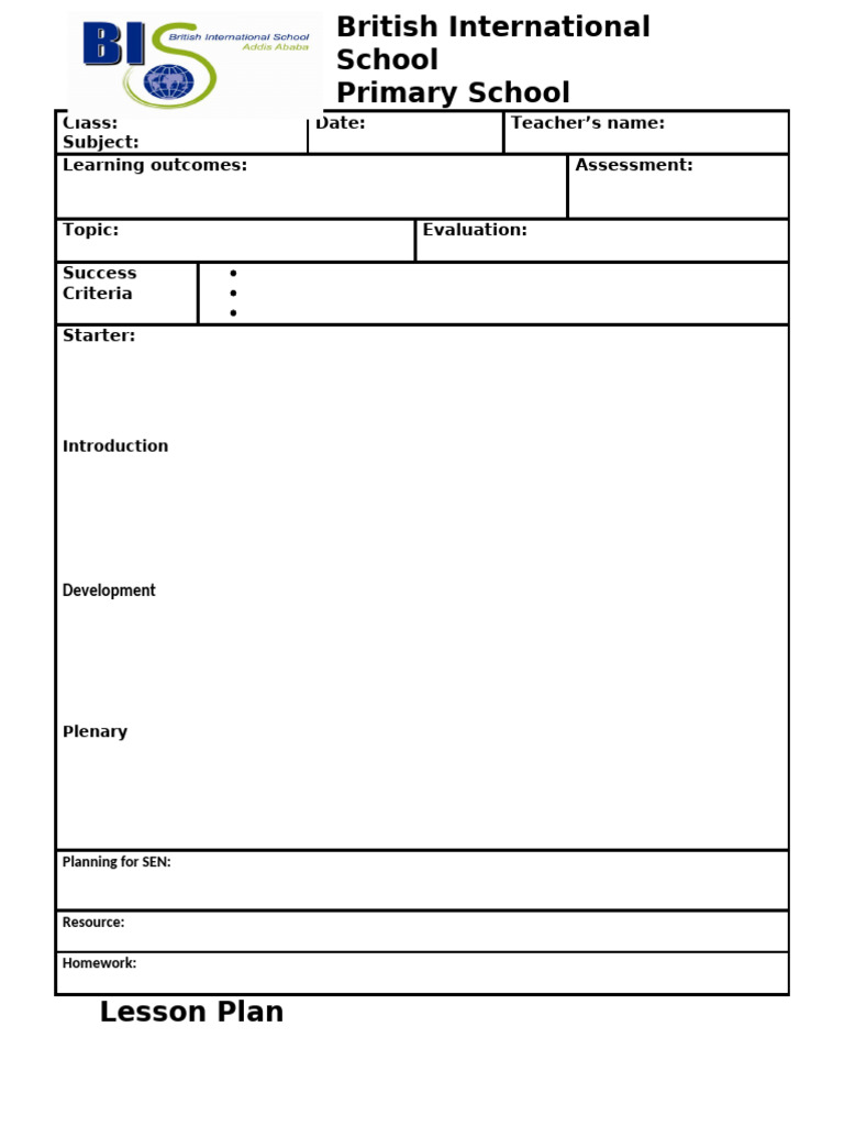 Primary School Daily Lesson Plan | PDF
