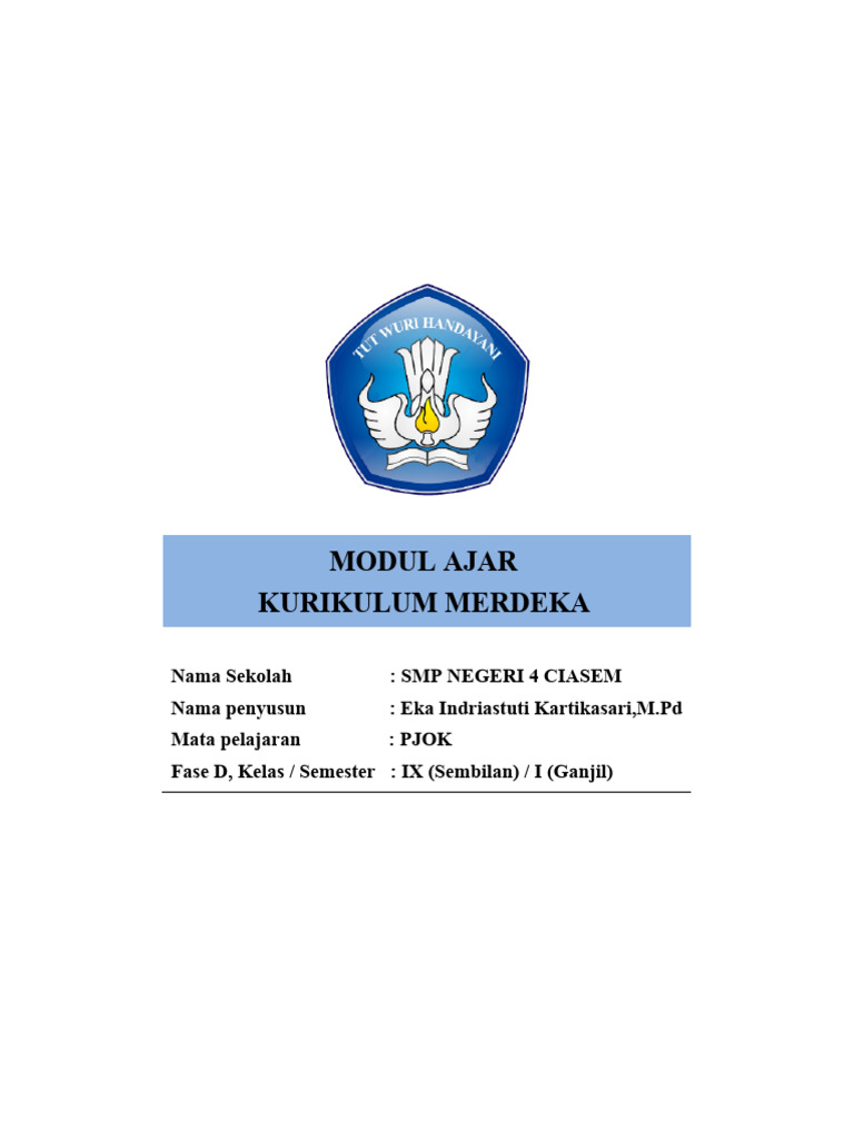 Modul Ajar Observ PMM | PDF