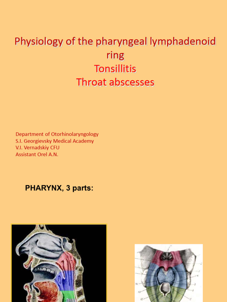 Pharynx Pathology - 230928 - 185822 | PDF