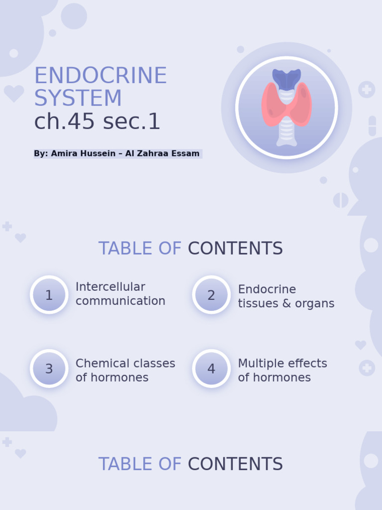 Endocrine System | PDF