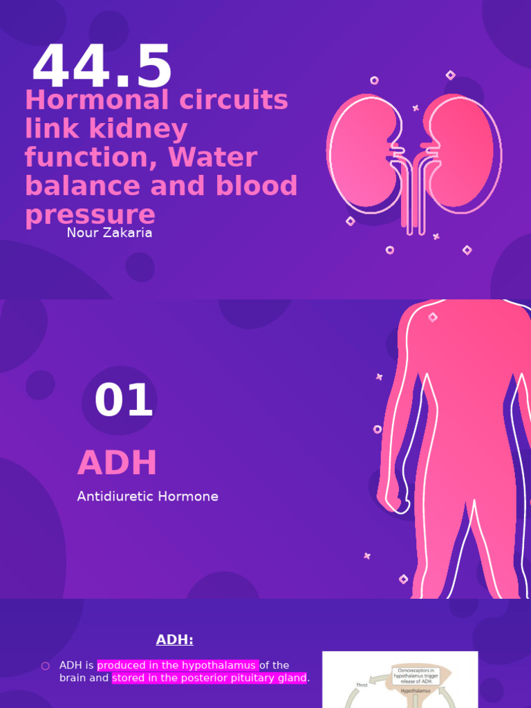 44.5 Hormonal Circuits Link Kidney Function, Water Balance and Blood ...