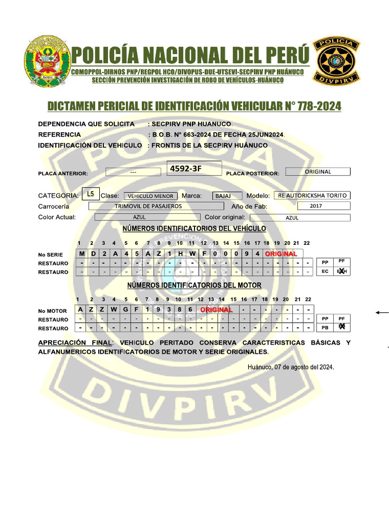 Dictamen Pericial de Identificación Vehicular Imprimir | PDF