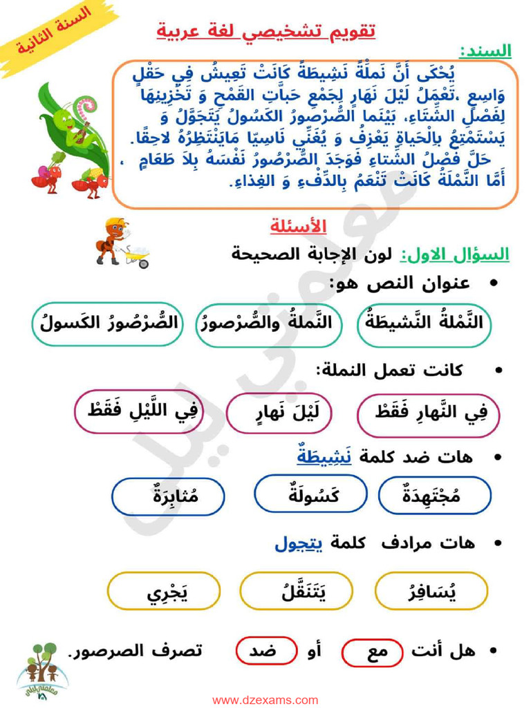 Dzexams 2ap Arabe 650936 | PDF