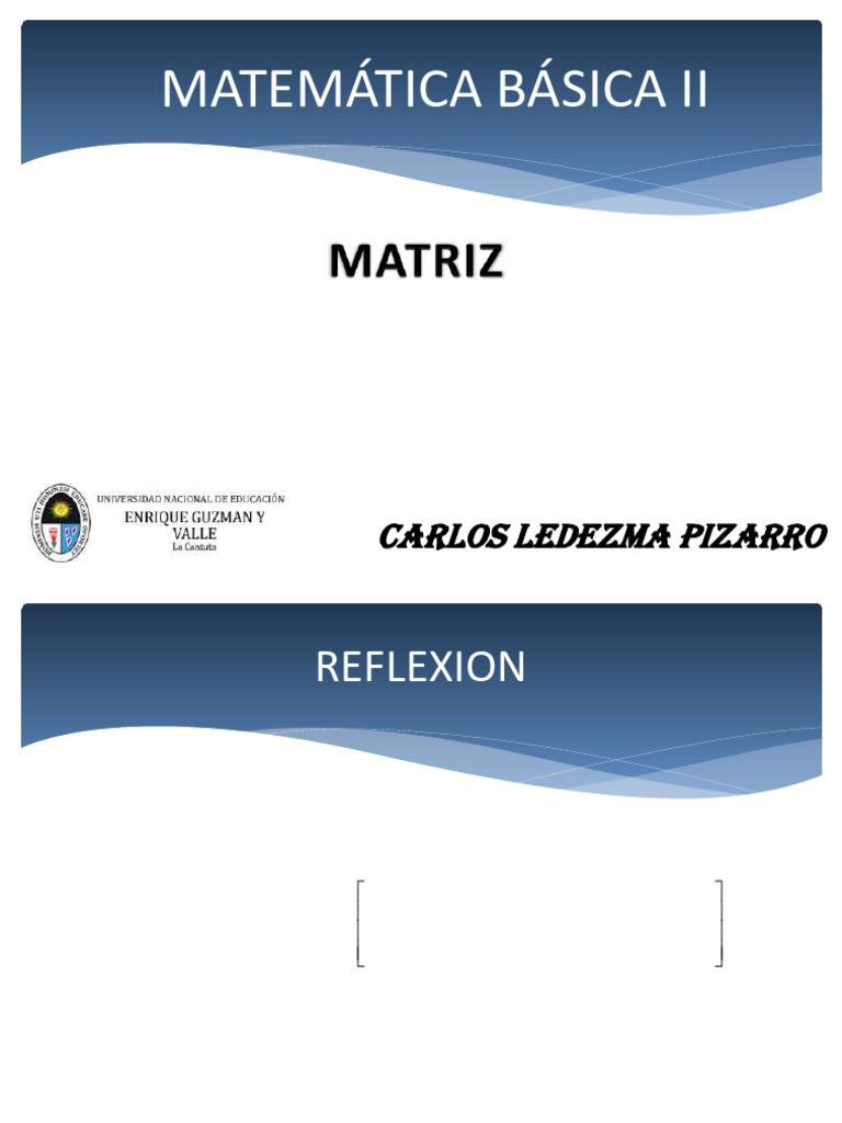 Matrices y Determinantes - Teoría | PDF