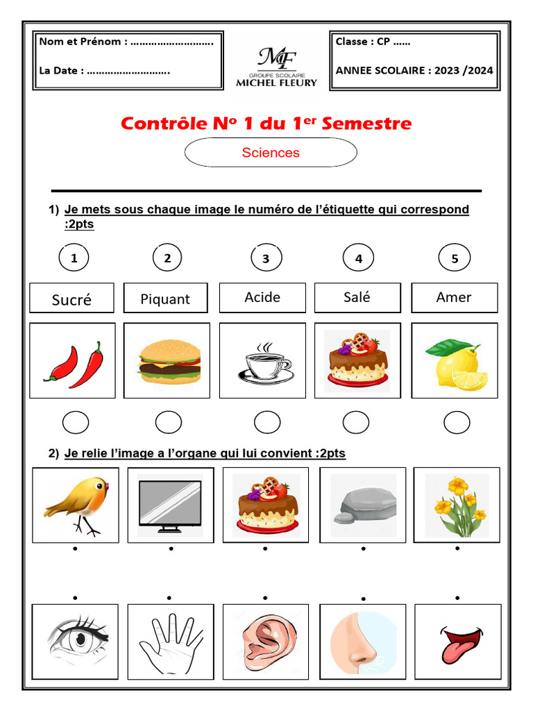 Science Final Organized | PDF