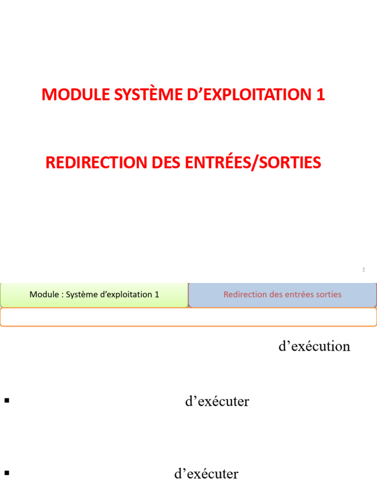 Les Redirections Des Entrées Sorties | PDF