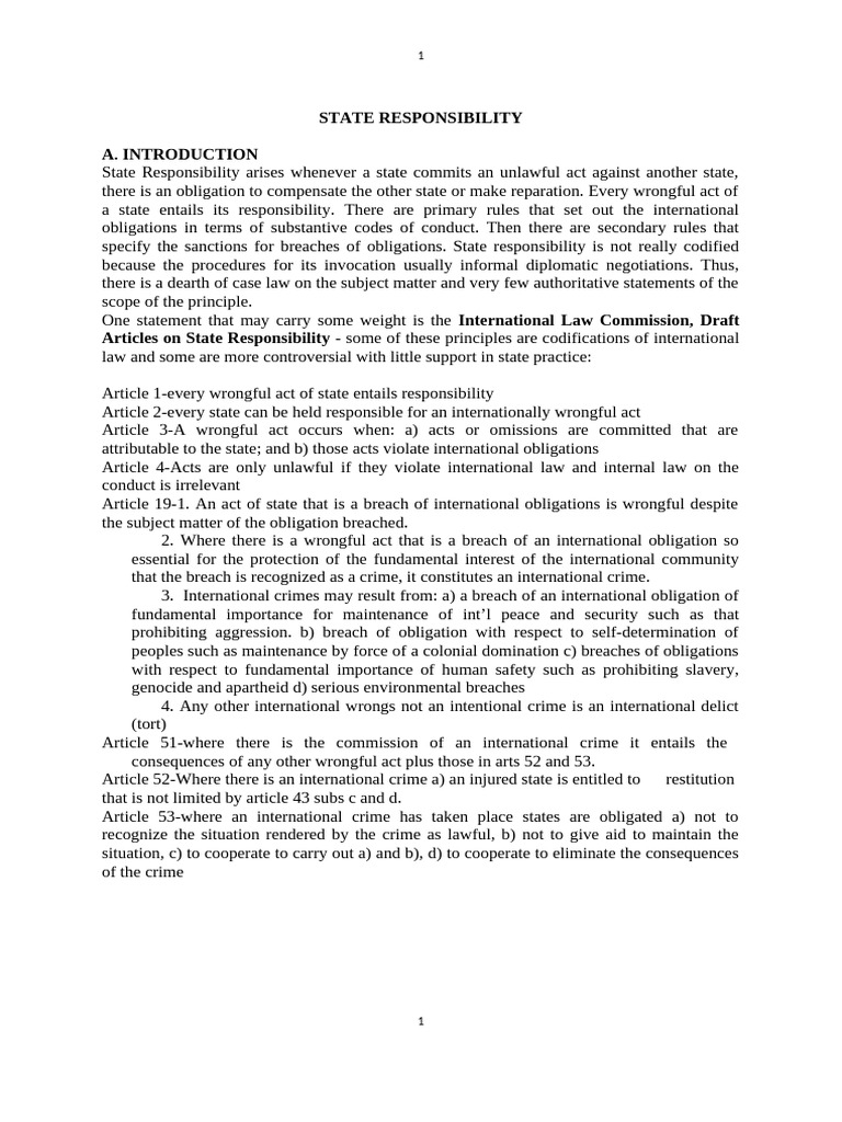 State Responsibility | PDF