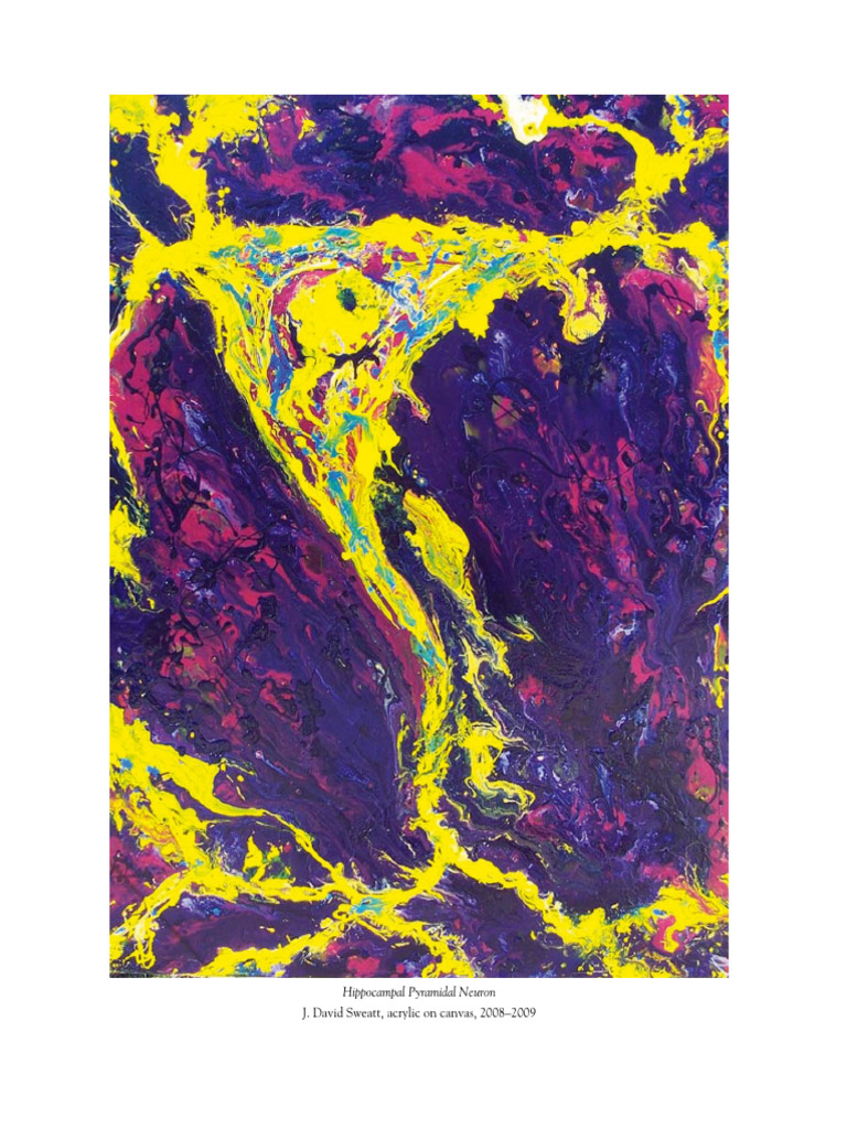 J. David Sweatt, Acrylic On Canvas, 2008-2009: Hippocampal Pyramidal ...