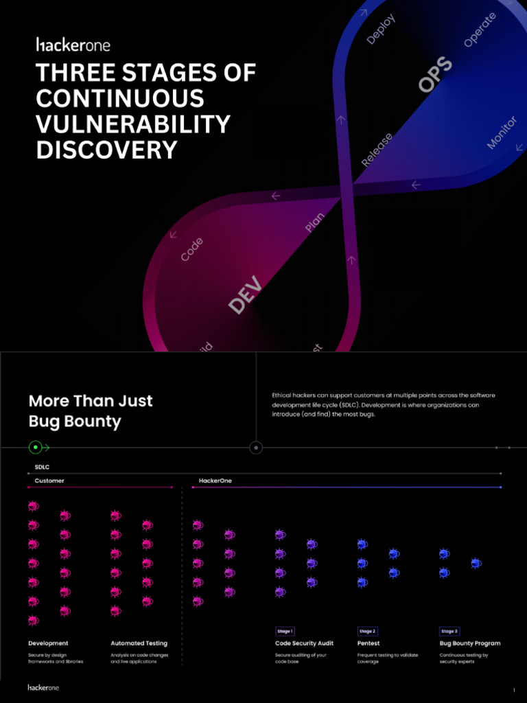 Three Stages of Continuous Vulnerability Discovery | PDF