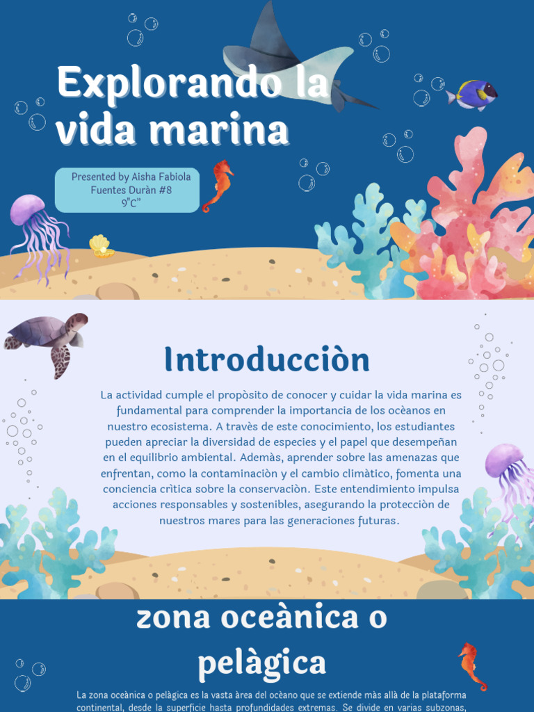 Explorando La Vida Marina | PDF