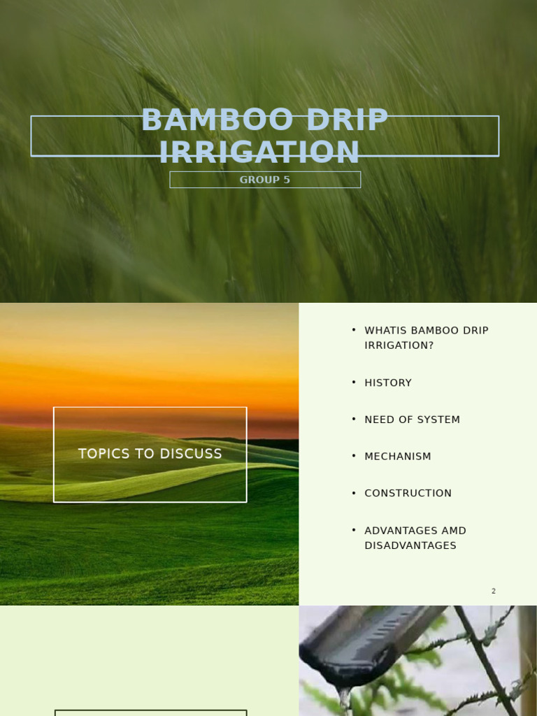 Bamboo Drip Irrigation | PDF