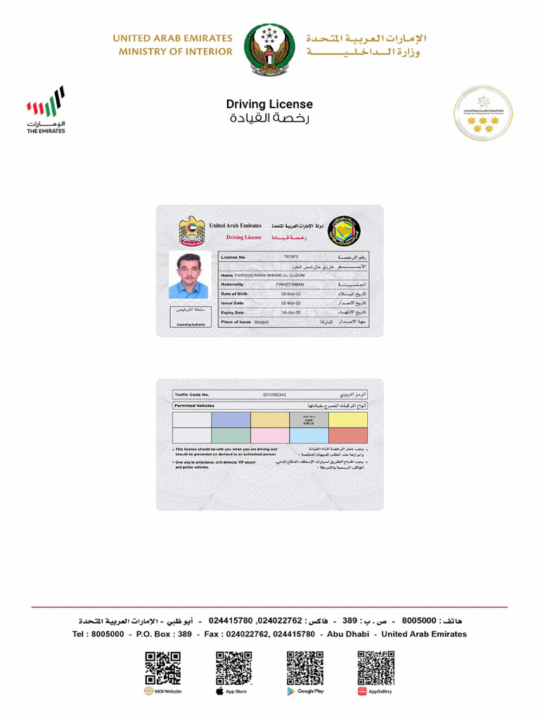 License - Card - Preview 2 | PDF