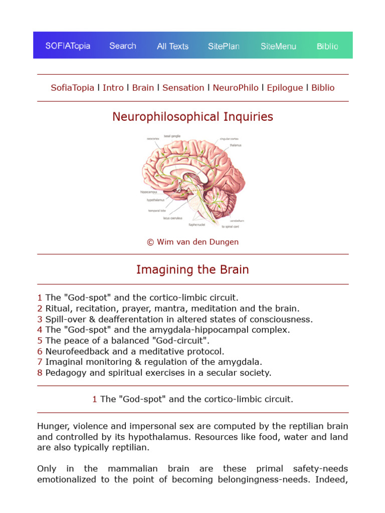 Imagining The Brain | PDF