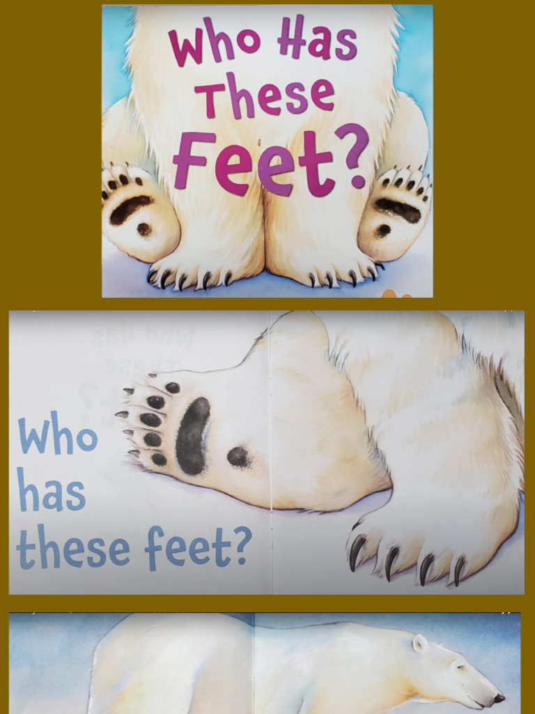 Who Has These Feet | PDF