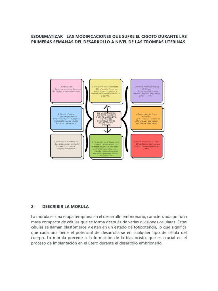 Tarea 2 Embrio | PDF