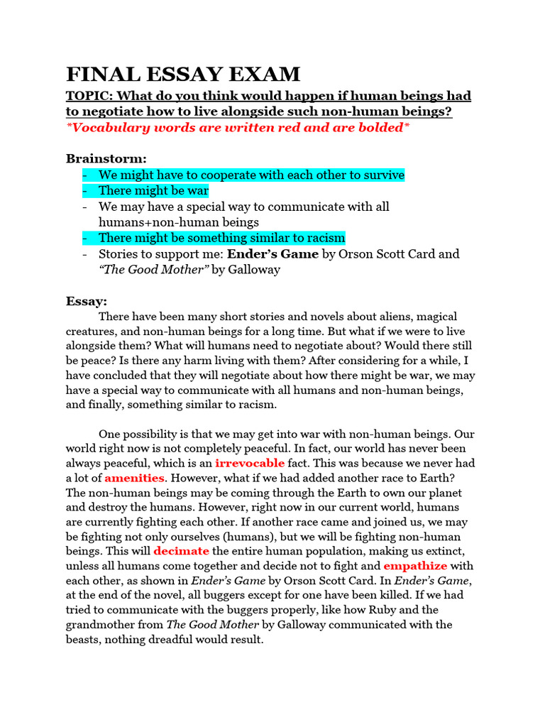 Final Essay Exam | PDF