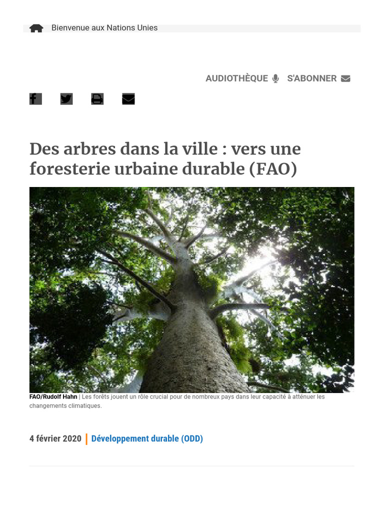 Des Arbres Dans La Ville - Vers Une Foresterie Urbaine Durable (FAO) - ONU Info | PDF