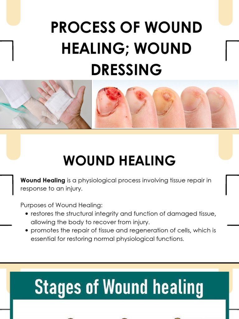 Process of Wound Healing Wound Dressing Group 4 | PDF