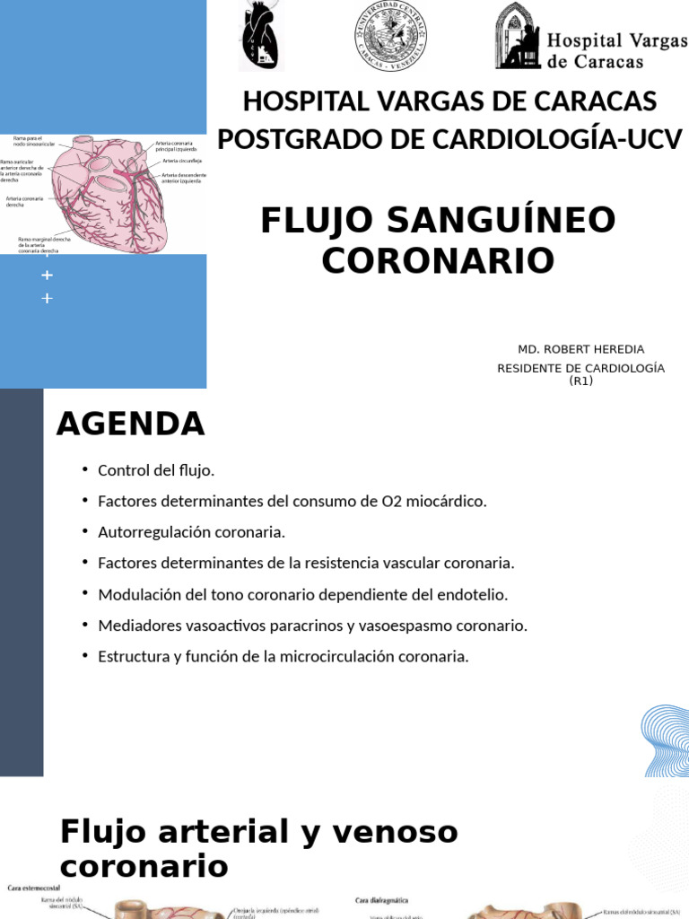 Flujo Coronario | PDF