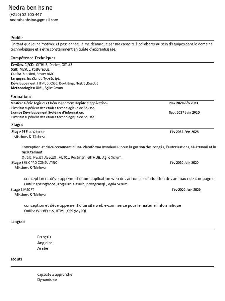 cv-nedrabenhsine4 | PDF