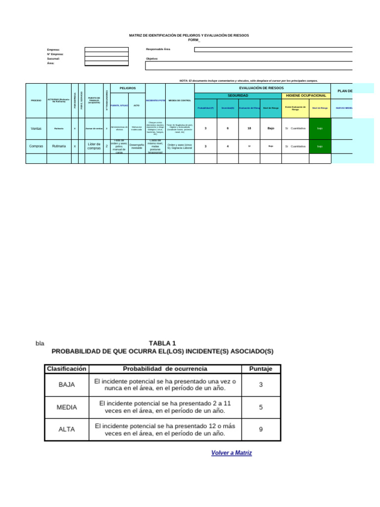 Formato Matriz Iper - Ejemplo | PDF