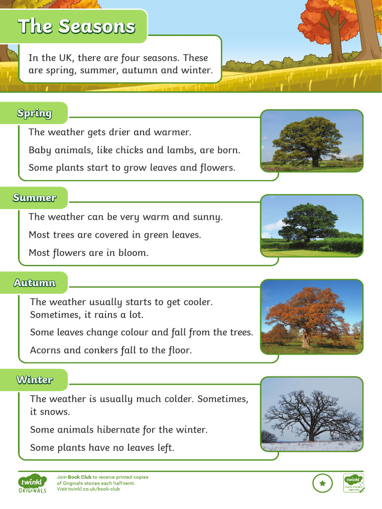 Seasons Differentiated Reading Comprehension Activity - Ver - 7 | PDF