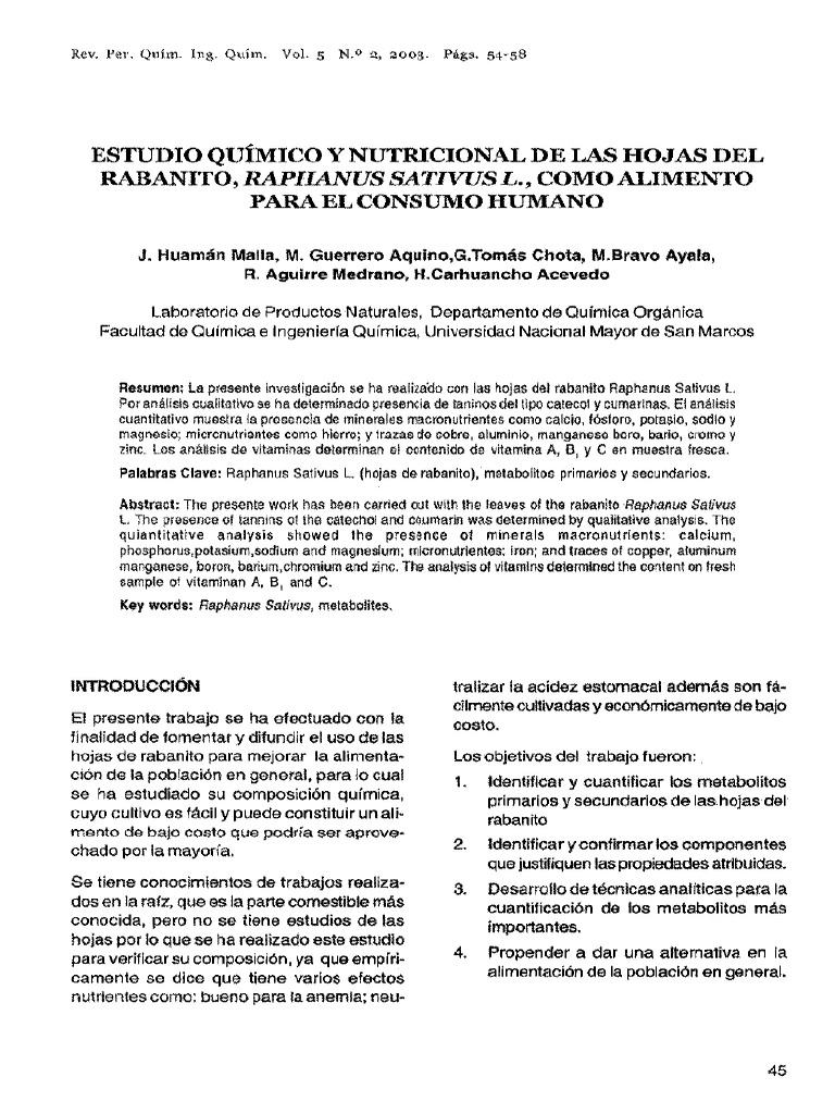 Rabanito Pdf