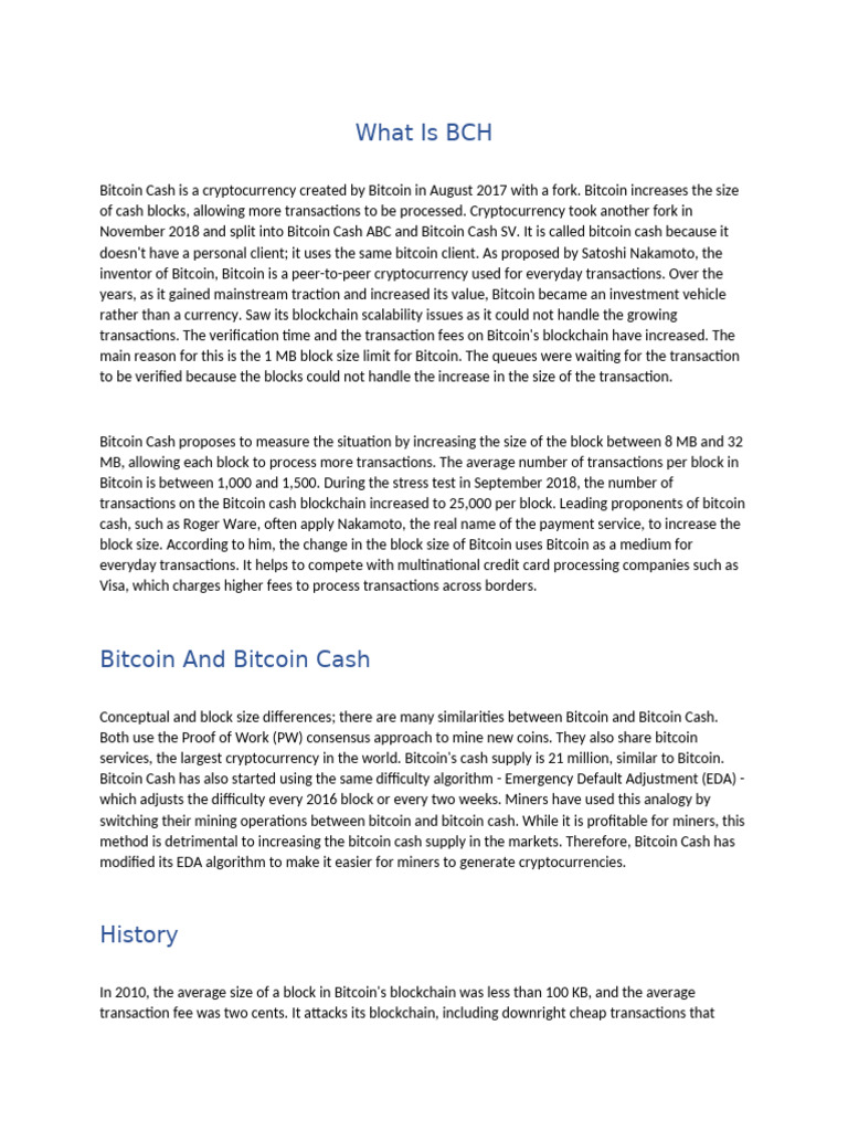 What is BCH | PDF