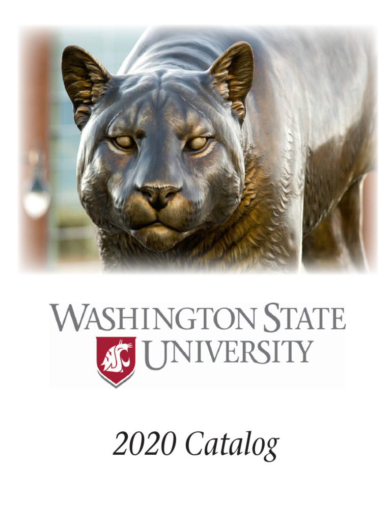 Course Catalog 2020 | PDF