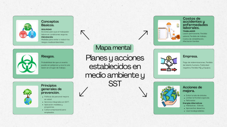 Planes y Acciones Establecidos en El Medio Ambiente y SST | PDF