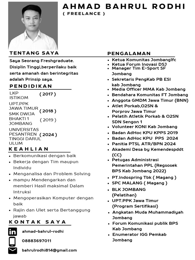 CV Non ATS Bahrulrd 2024 | PDF