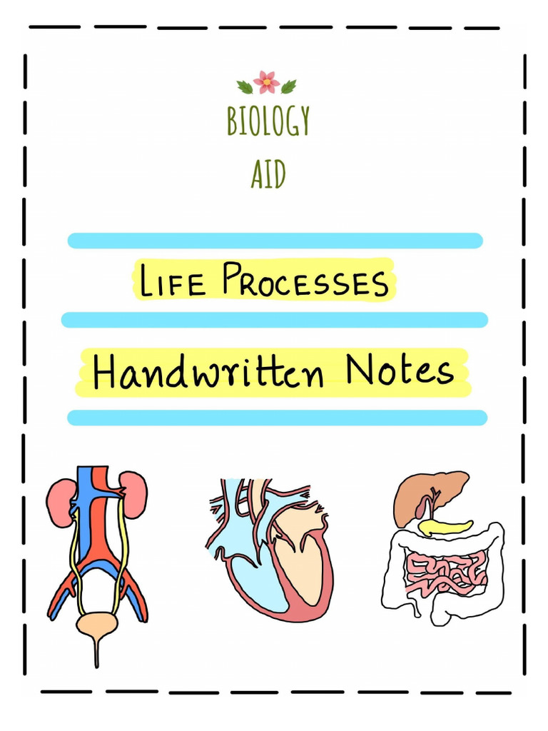 Biology Aid Life Processes Notes | PDF