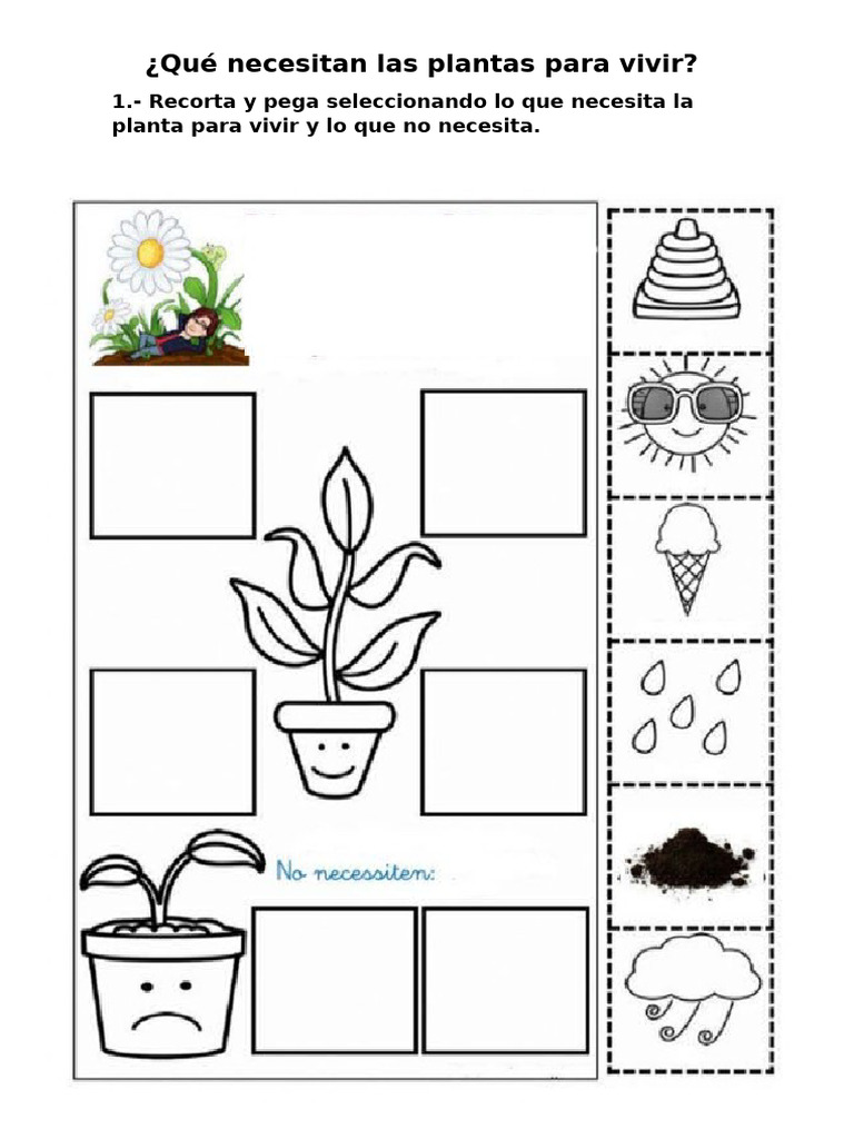 Qué Necesitan Las Plantas para Vivir | PDF