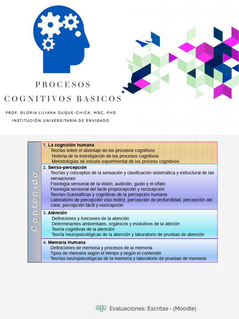 Procesos Cognitivos Basicos | PDF