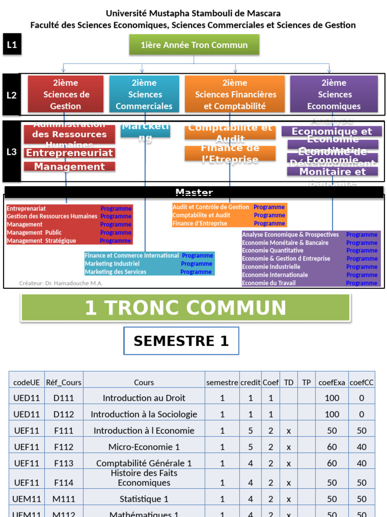 Canevas de Formation Fsecg | PDF