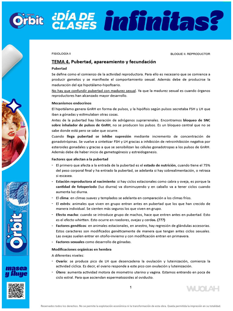 Wuolah Free Tema 4 - Removed | PDF