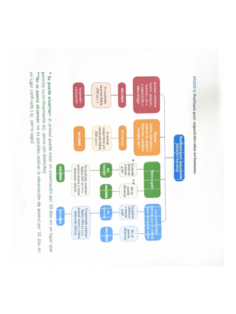 ANEXO D Profilaxis Post-Exposicion Rabia en Humanos | PDF