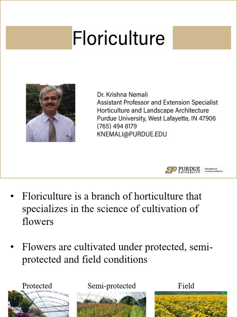 Introduction To Floriculture PDF | PDF