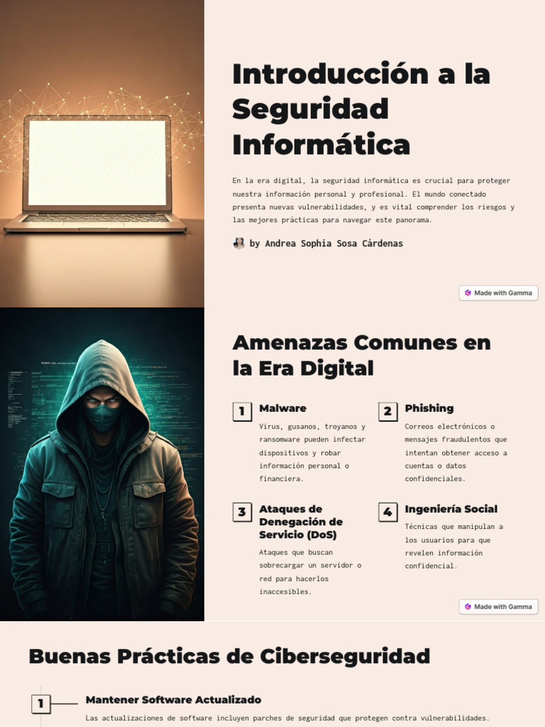 Introduccion A La Seguridad Informatica | PDF