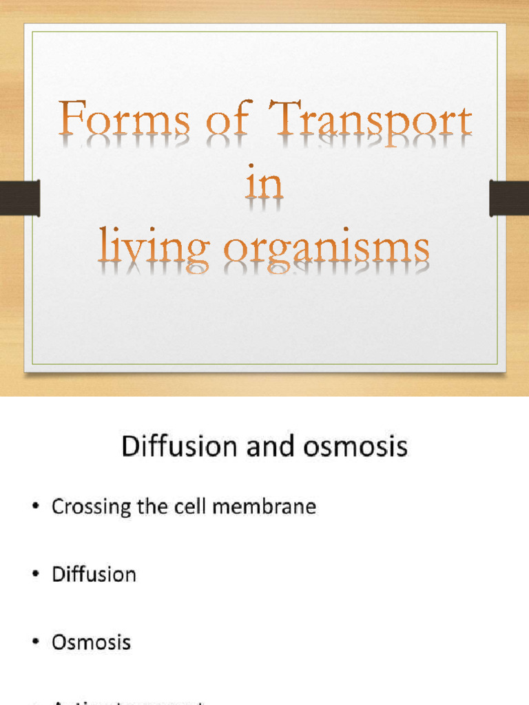Forms of transport Gr | PDF
