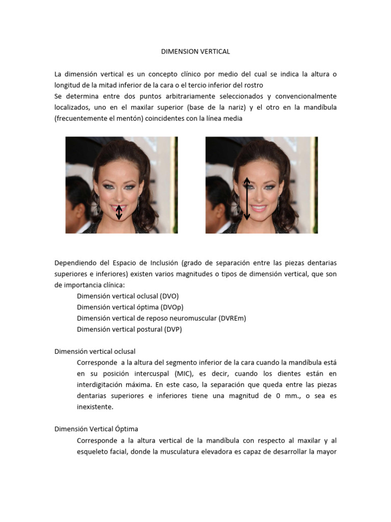 Dimensión Vertical | PDF | Músculo