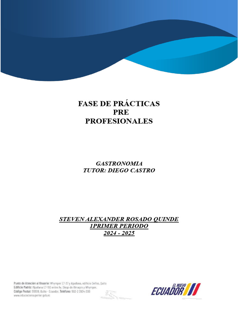 Steven Proyecto | PDF