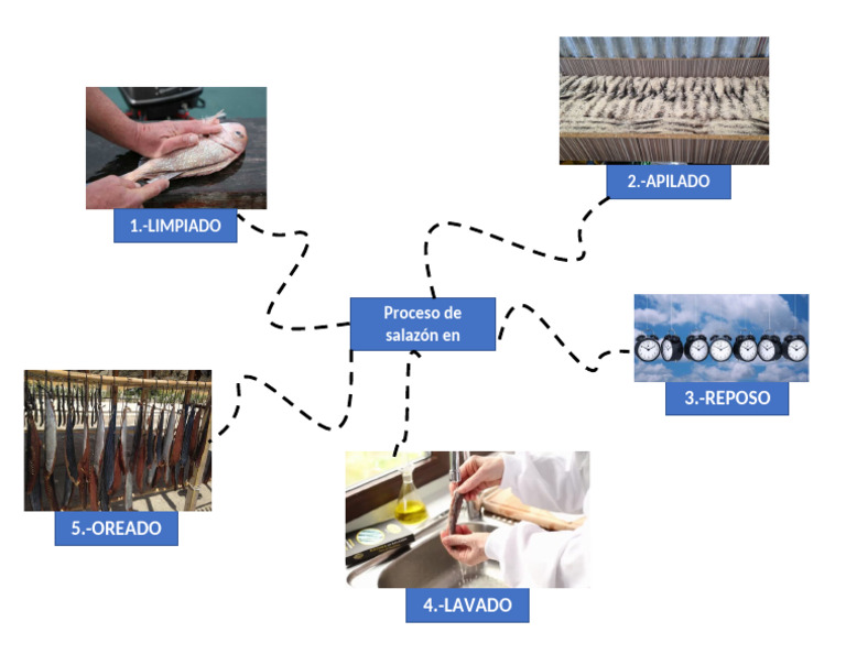 Proceso de Salación | PDF