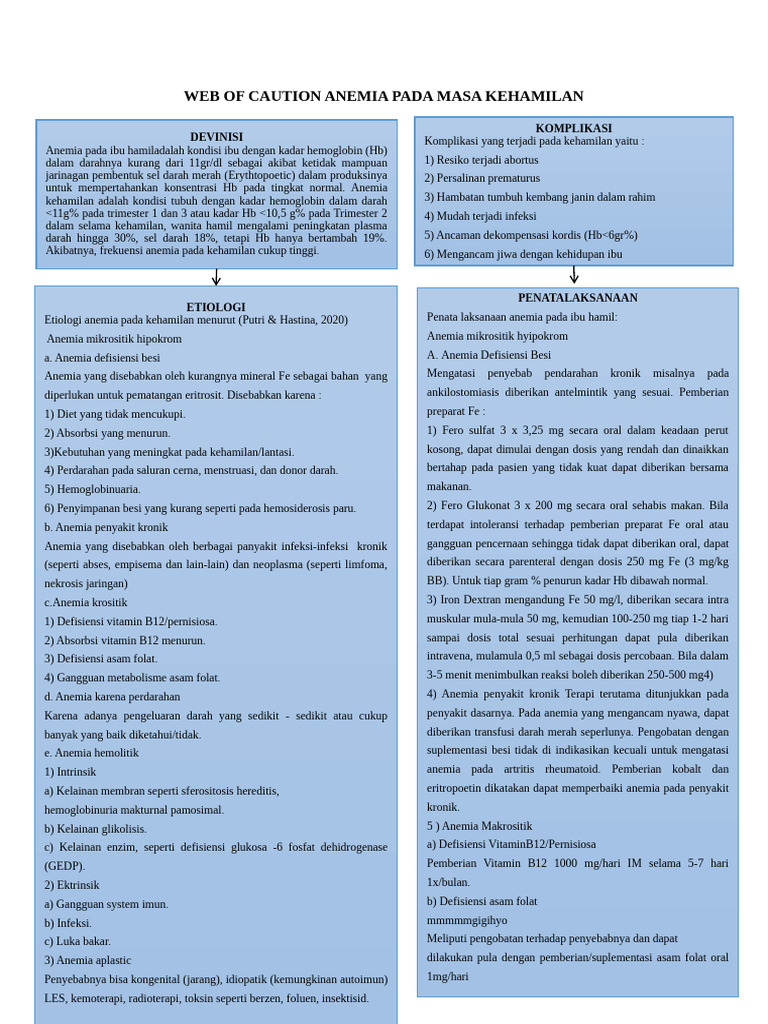 Web of Caution Anemia Pada Masa Kehamilan | PDF