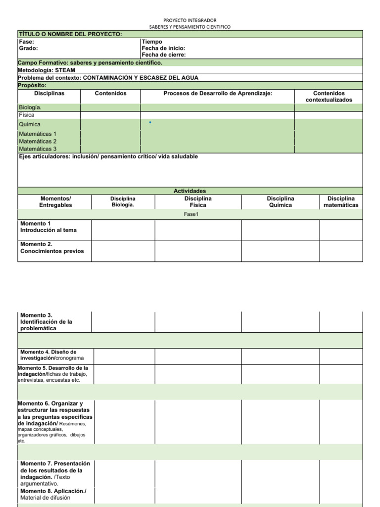 Formato Del Proyecto Integrador | PDF