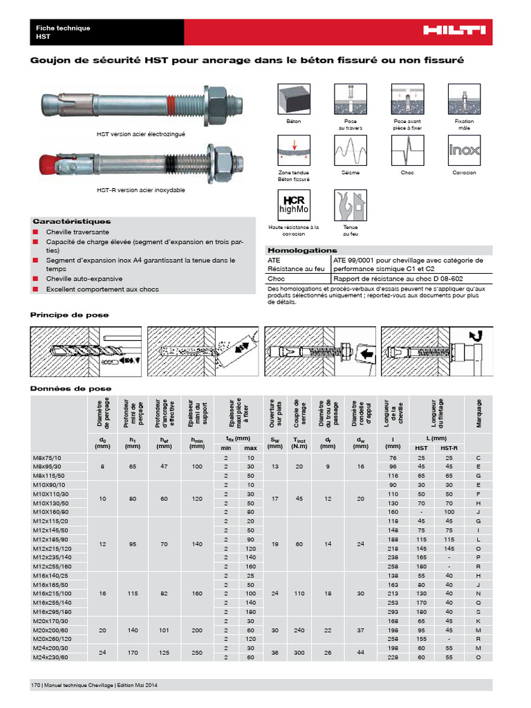 1 Fiche Technique Du Goujon HST Fiche Technique ASSET DOC LOC 1915666 | PDF