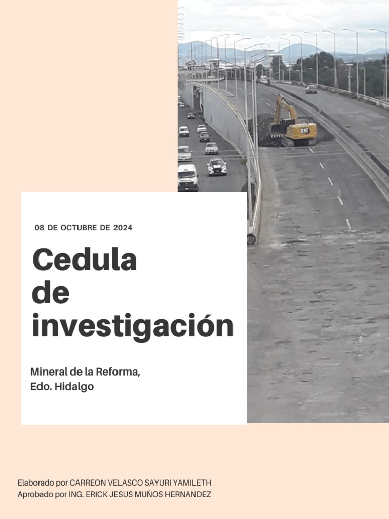 Cedula de Investigación - ING. Erick | PDF | Presupuesto | Marketing