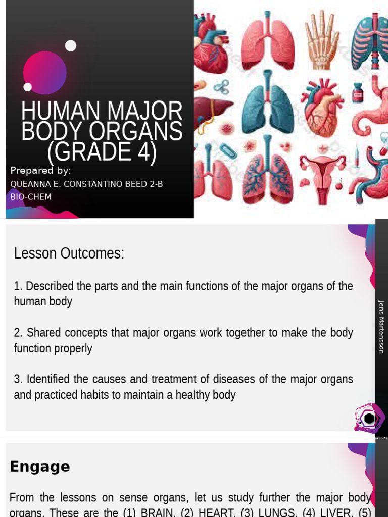 Human Major Body Organs Grade 4 | PDF